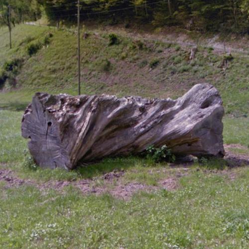 'Twisted Oak' by David Nash in Langenbruck, Switzerland (Google Maps)