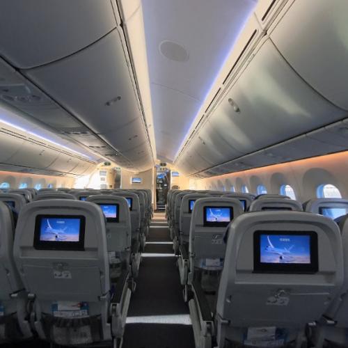 Boeing 787 Dreamliner in Milan, Italy (Google Maps) (#4)