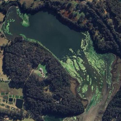 Nangudga Lake in Narooma, Australia (Google Maps)