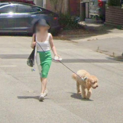 Women taking the dog out for a jog in Melbourne, Australia (Google Maps)