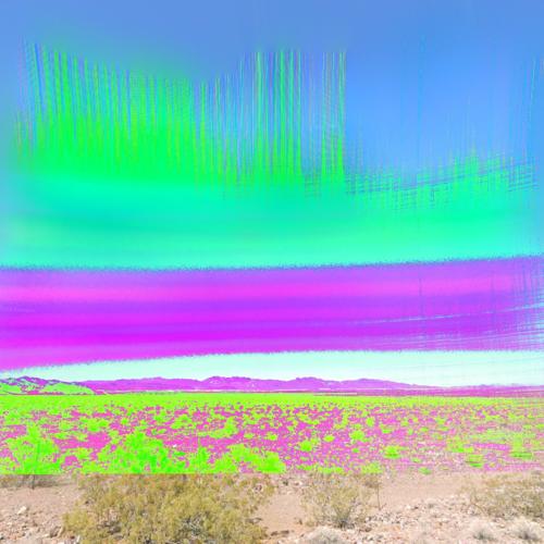 Street View Error in Crystal, NV (Google Maps)