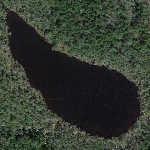 Round Pond in Millinocket, ME (Google Maps)