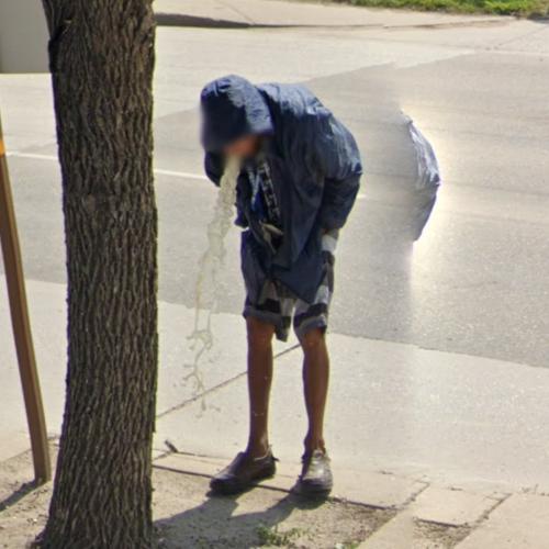 Puking man in Prince Albert, Canada (Google Maps)