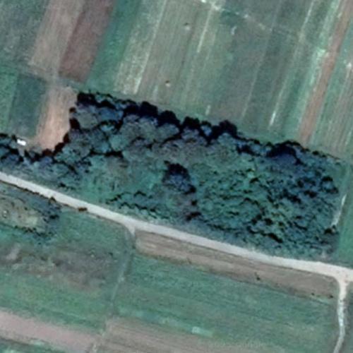 Holoby Polish Cemetery in Goloby, Ukraine (Google Maps)