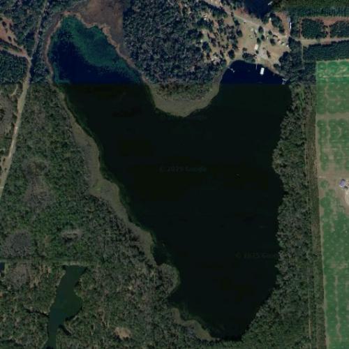 Grassy Pond in Lake Park, GA (Google Maps)