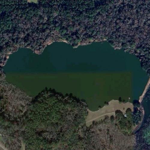 Carrolls Pond in Lake Park, GA (Google Maps)
