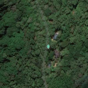 Masingini National Forest Reserve in Zanzibar, United Republic of ...