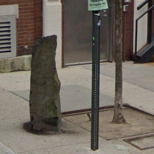 '7000 Oaks' by Joseph Beuys in New York, NY - Virtual Globetrotting