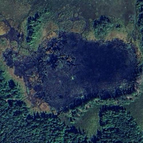 Roy Lake in Newberry, MI (Google Maps)