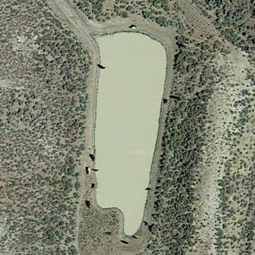 Skookum Lake Waterhole in Paisley, OR (Google Maps)