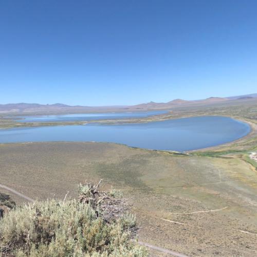 Upper Campbell Lake in Plush, OR (Google Maps)