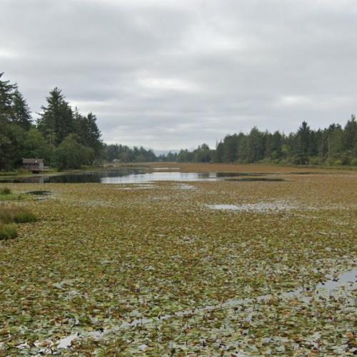 Smith Lake in Warrenton, OR (Google Maps) (#3)