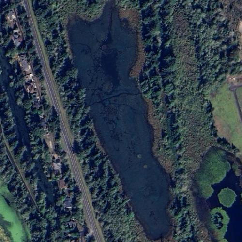 Wild Ace Lake in Warrenton, OR (Google Maps)