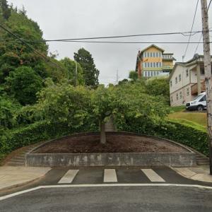Pigeon Steps in Astoria, OR - Virtual Globetrotting