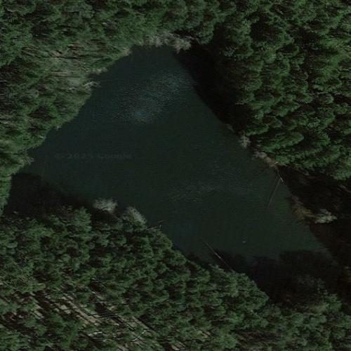 South Lake in Blaine, OR (Google Maps) (#2)