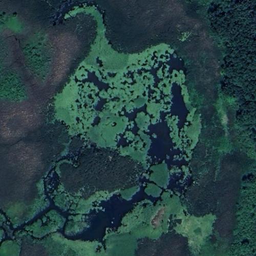 Ayers Lake in Marcellus, MI (Google Maps) (#2)
