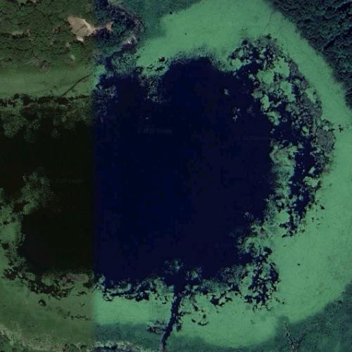 Mill Lake in Marcellus, MI (Google Maps) (#2)