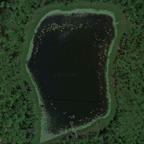 Otter Lake in Marcellus, MI (Google Maps) (#4)