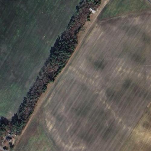 Taylor Airport in Assawoman, VA (Google Maps)