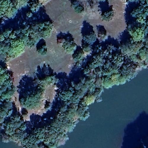 Shiloh Cemetery in Burgess, VA (Google Maps)