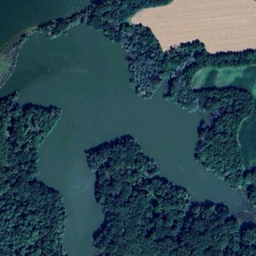 Boathouse Pond in Lottsburg, VA (Google Maps)