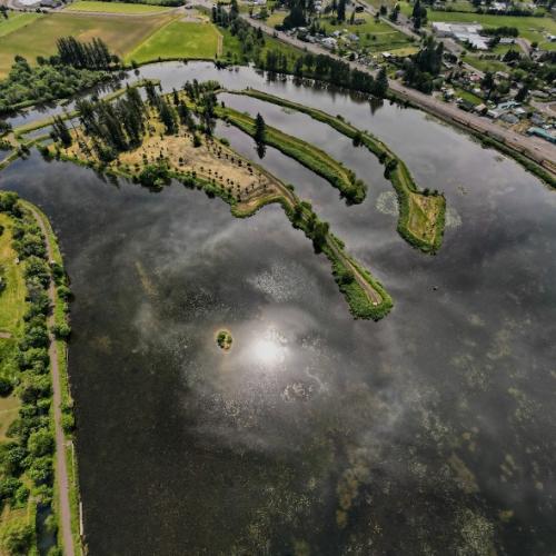 Cheadle Lake in Lebanon, OR (Google Maps)