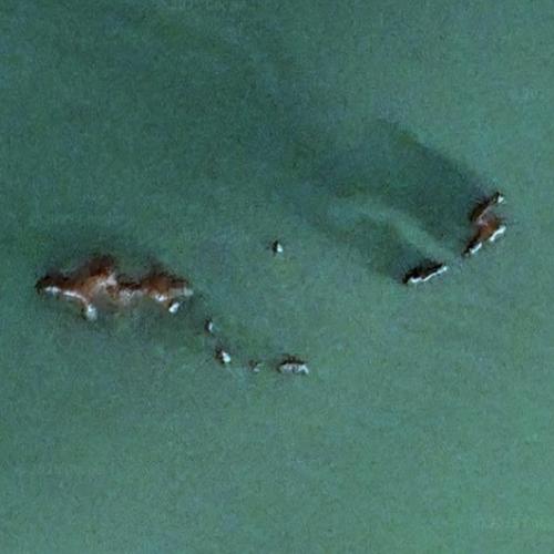 Boat Island in Ewell, MD (Google Maps) (#2)