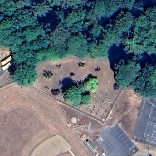 Pioneer Cemetery in Cathlamet, WA (Google Maps) (#2)