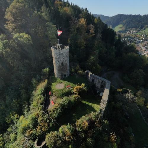 Husen Castle in Hausach, Germany (Google Maps)
