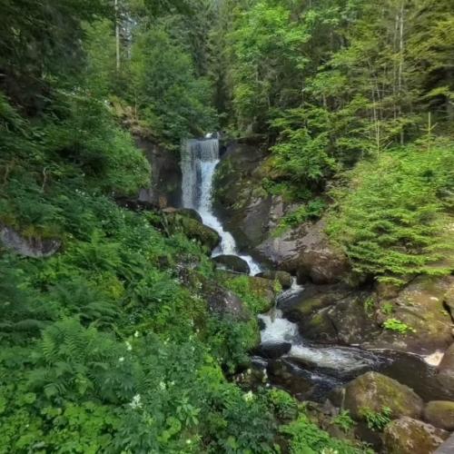 Triberg Waterfalls in Triberg im Schwarzwald, Germany (Google Maps)