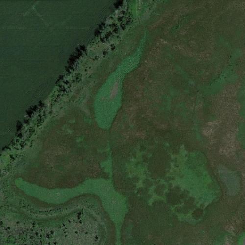 Little Bean Lake in Bean Lake, MO (Google Maps)