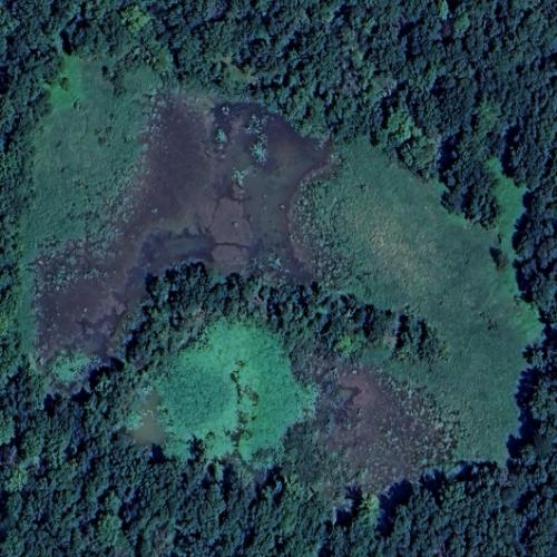 Goose Lake in Glasgow, MO (Google Maps) (#6)