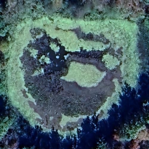 Brooks Pond in Turtle, MO (Google Maps)