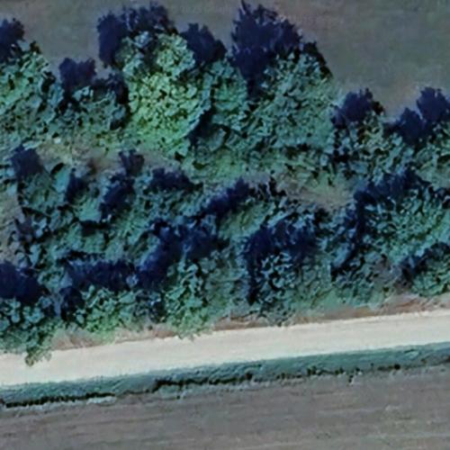 Marshall Cemetery in Nelson, MO (Google Maps)