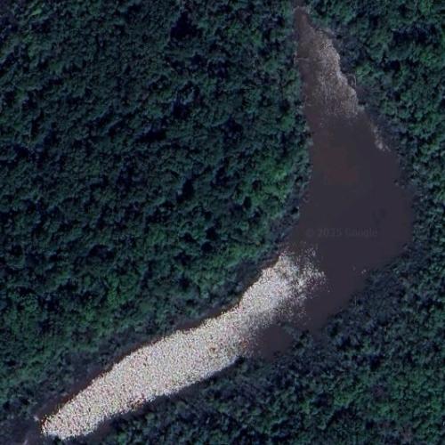 Long Lake in Horton, MO (Google Maps)