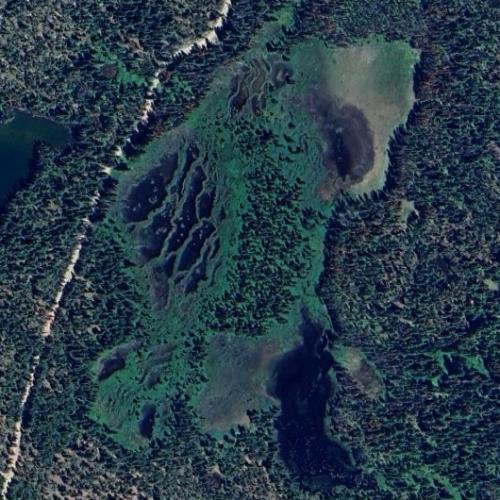 Bull Swamp in Butte Falls, OR - Virtual Globetrotting