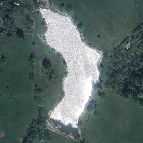 Bell Pond in Aldie, VA (Google Maps) (#2)