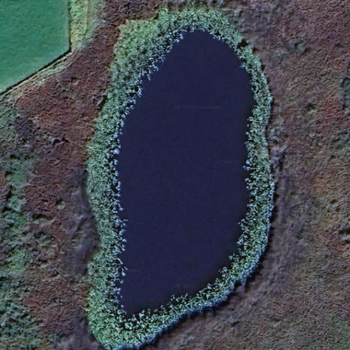 Gibbs Lake in Randle, WA (Google Maps)