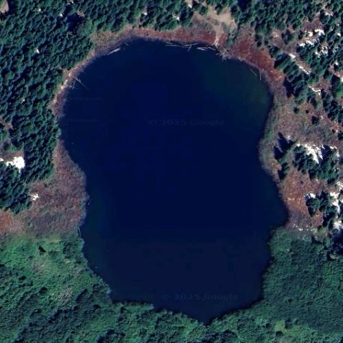 Watch Lake in Randle, WA (Google Maps)