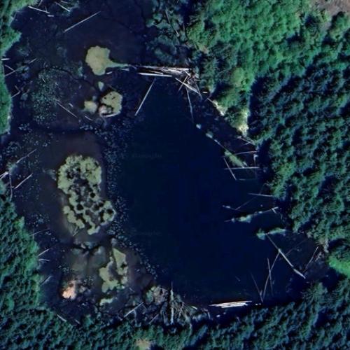 McKinley Lake in Randle, WA (Google Maps) (#2)