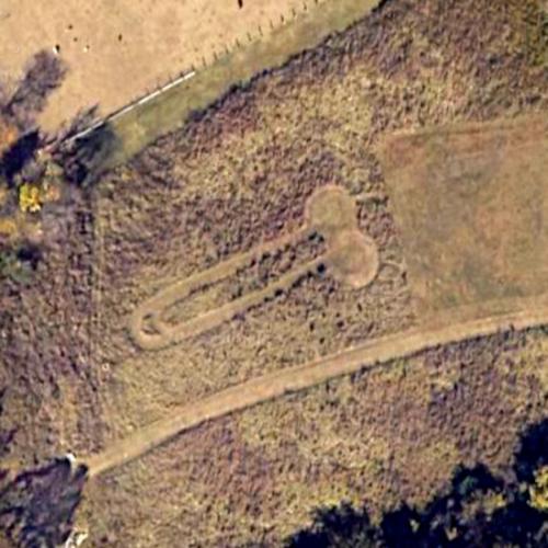 Inappropriate crop art in Nashville, TN (Google Maps)