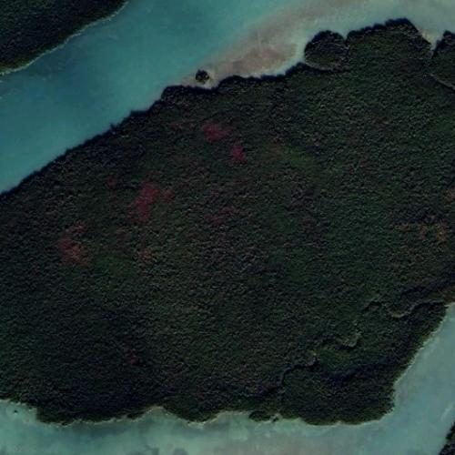 Reid Key in Ocean Reef, FL - Virtual Globetrotting