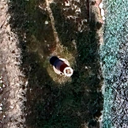 Gun Cay Lighthouse in Alice Town, Bahamas (Google Maps)