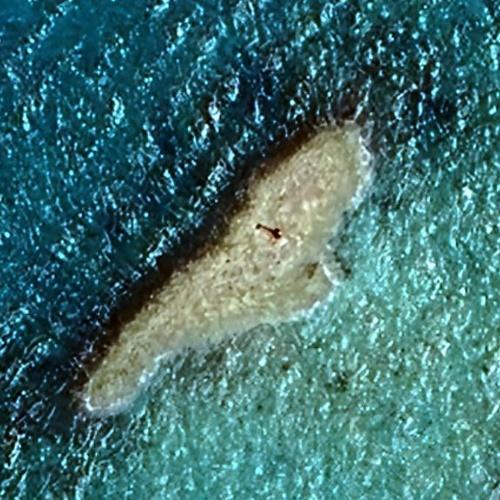 North Rock in Alice Town, Bahamas (Bing Maps)