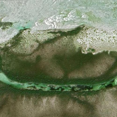 Turner Cay in Great Stirrup Cay, Bahamas (Google Maps)