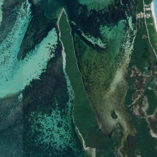 Lignumvitae Cay in Great Stirrup Cay, Bahamas (Google Maps)
