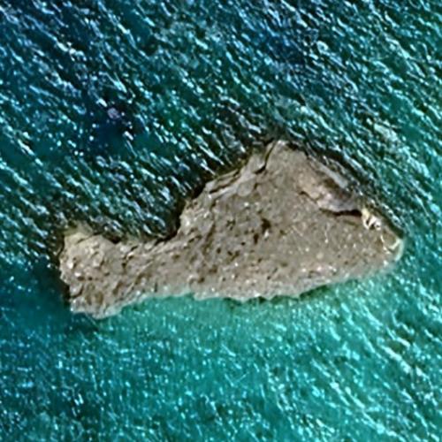 Target Rock in Great Stirrup Cay, Bahamas (Google Maps)