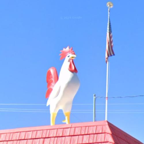 Chicken on Roof in Bishop, CA - Virtual Globetrotting