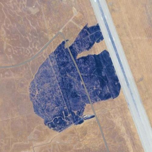 Grass fire (no longer burning) in Beale AFB, CA (Google Maps)