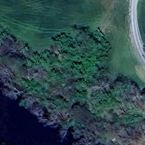 Riley Cemetery in Bluff City, TN (Google Maps) (#2)